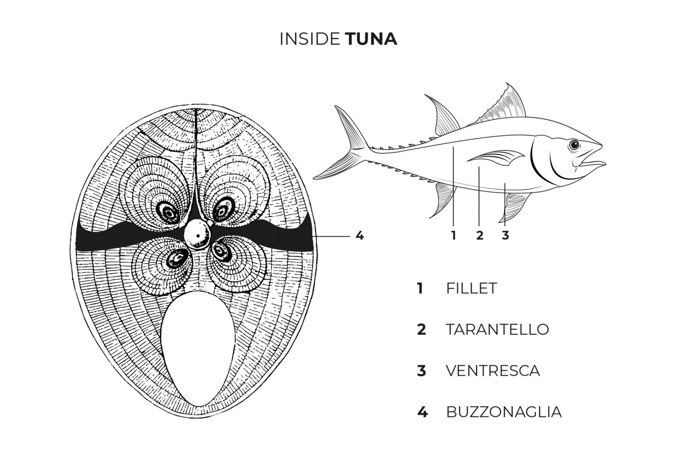 Cuts and types of tuna, learn more about this fish